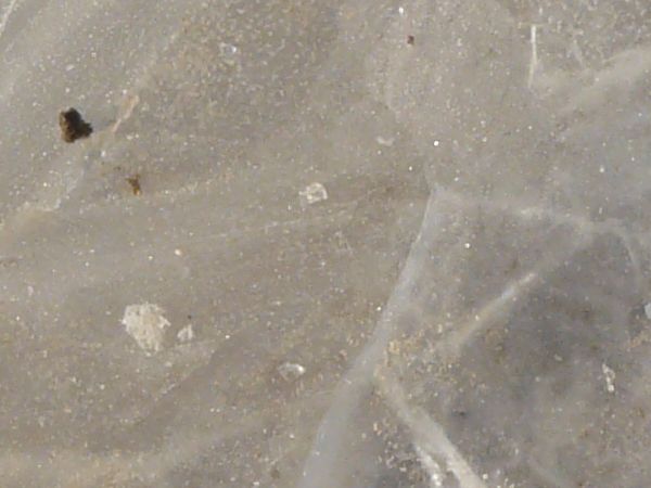 clouded ice texture 0005 - Texturelib